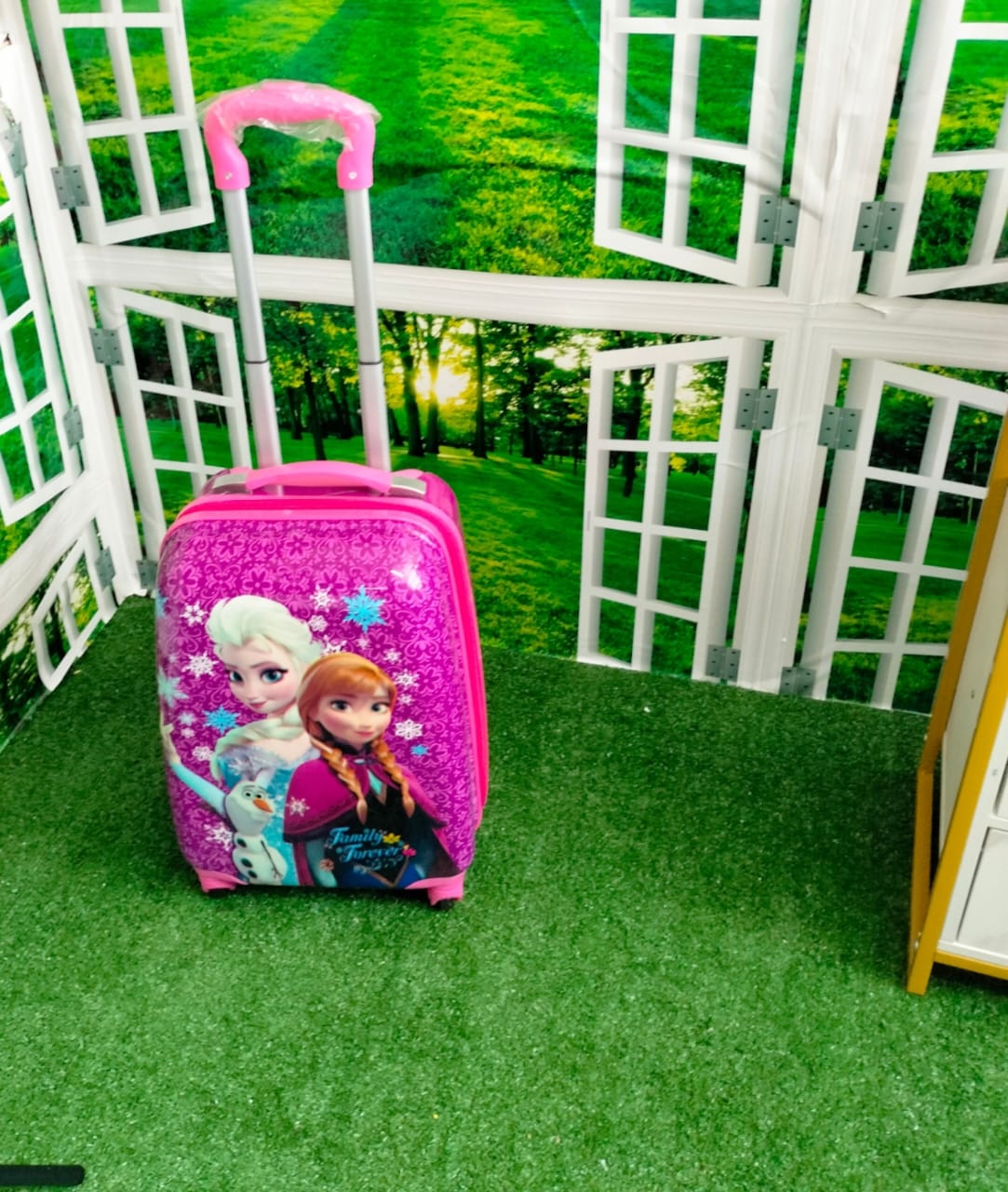 Cartoon themed kids trolley bags in Kenya