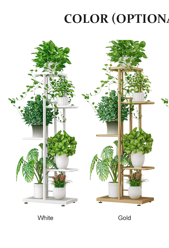 Multi-layer modern flower stand in Kenya